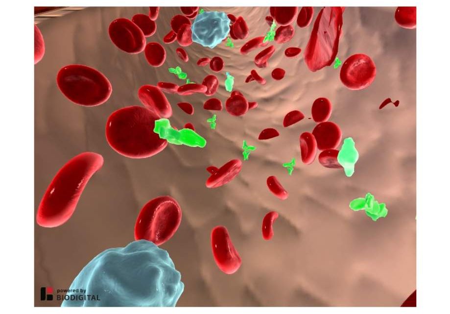 Activity 3.2.2 Immune Defense